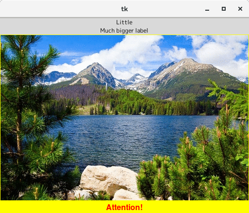 TkDocs_Tk Basic Widgets
